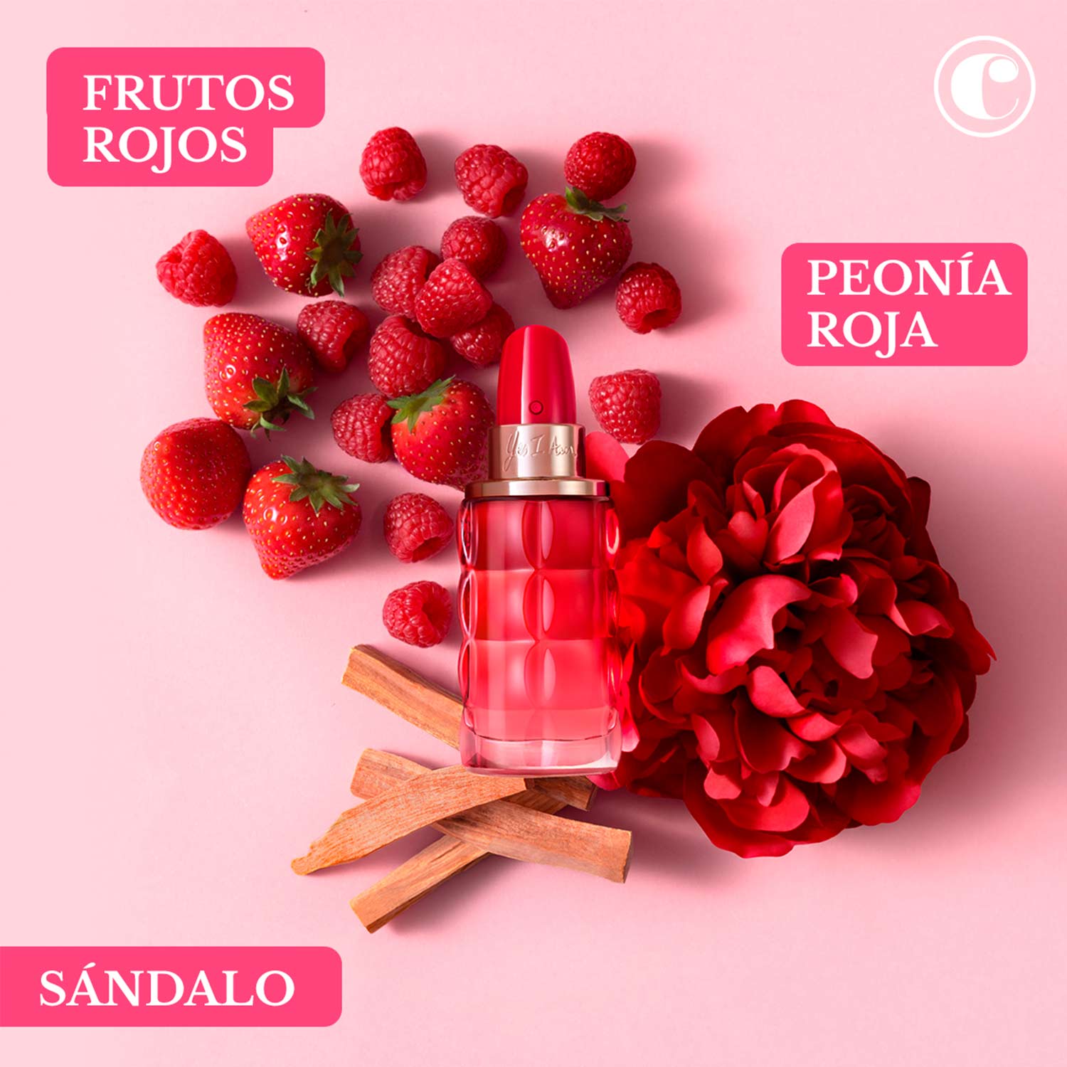 YES I AM BLOOM UP EDP