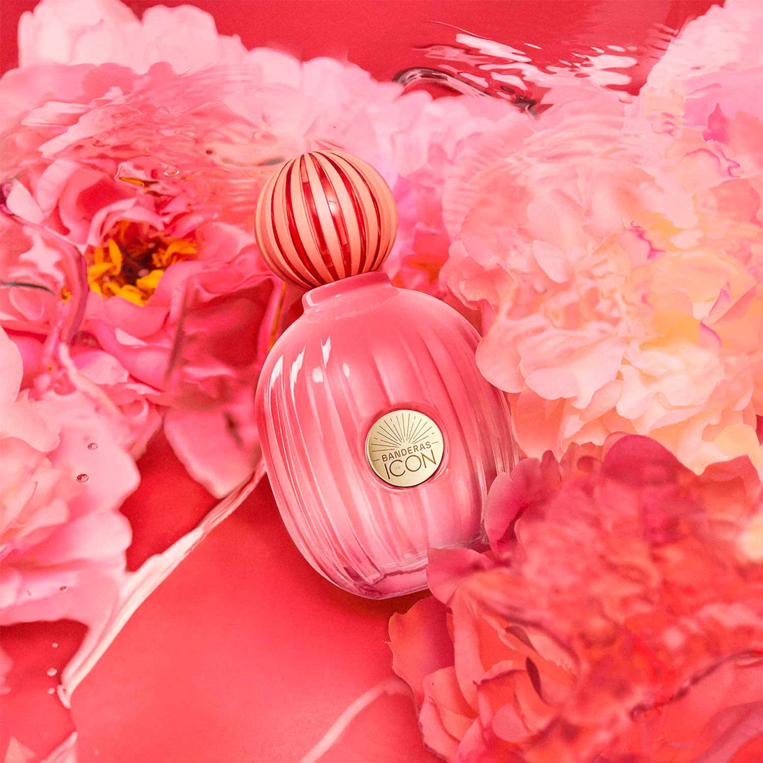 THE ICON SPLENDID EDP | Juleriaque