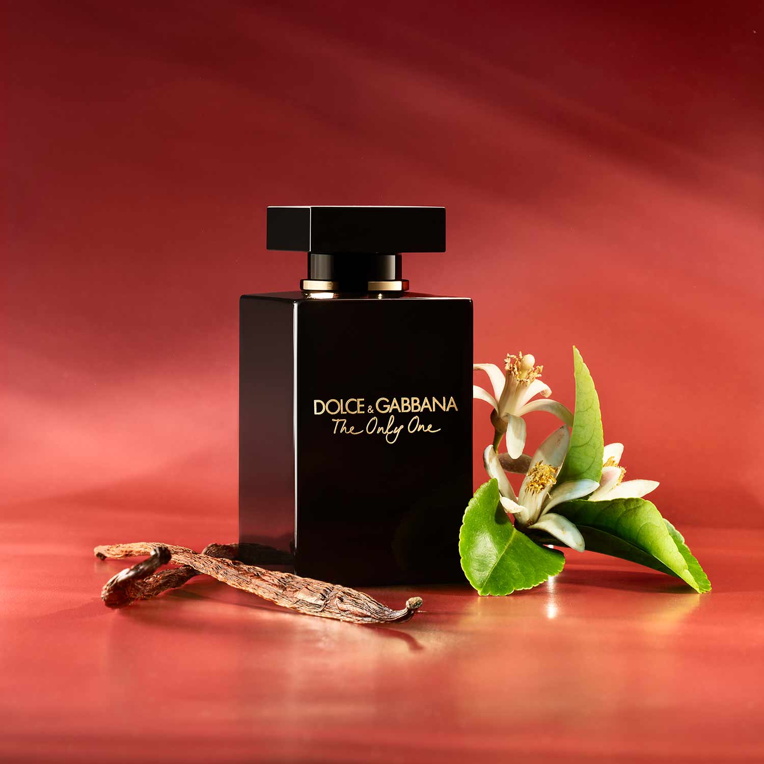 THE ONLY ONE INTENSE EDP