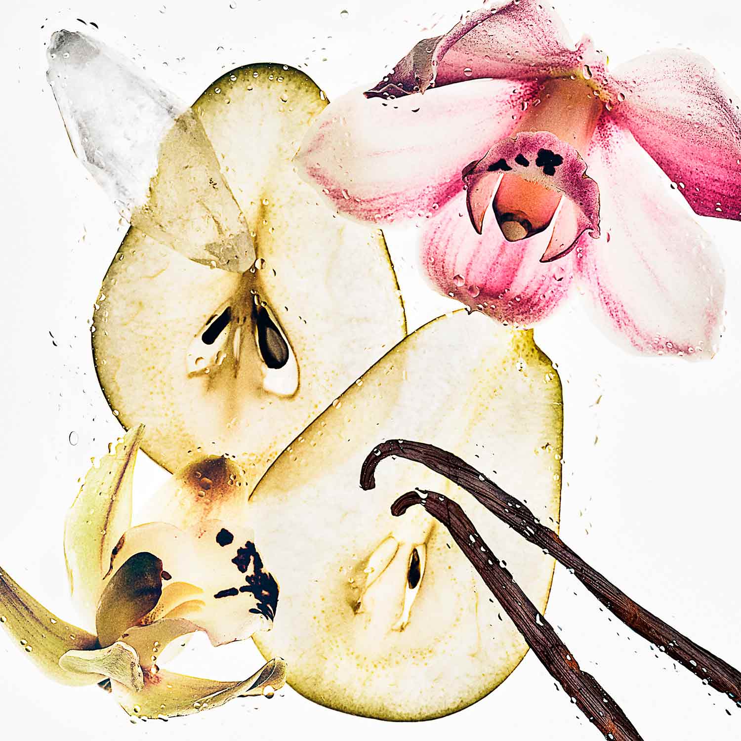 CK BODY MIST NUDE VANILLA | Juleriaque